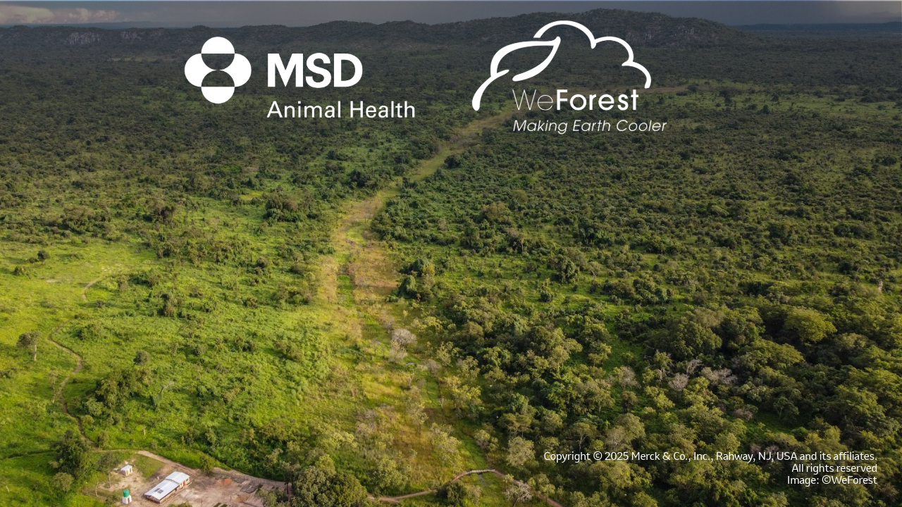 A MSD Animal Health e a WeForest celebram 10 anos de compromisso na ...